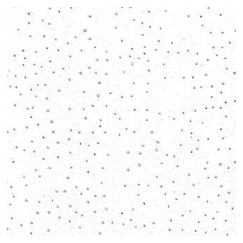 Mineralni plafoni AMF filigran 13mm x 60cm x 60cm | Jonimpex d.o.o.